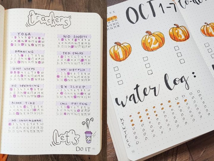 70+ Bullet Journal Tracker Ideas for Self Love
