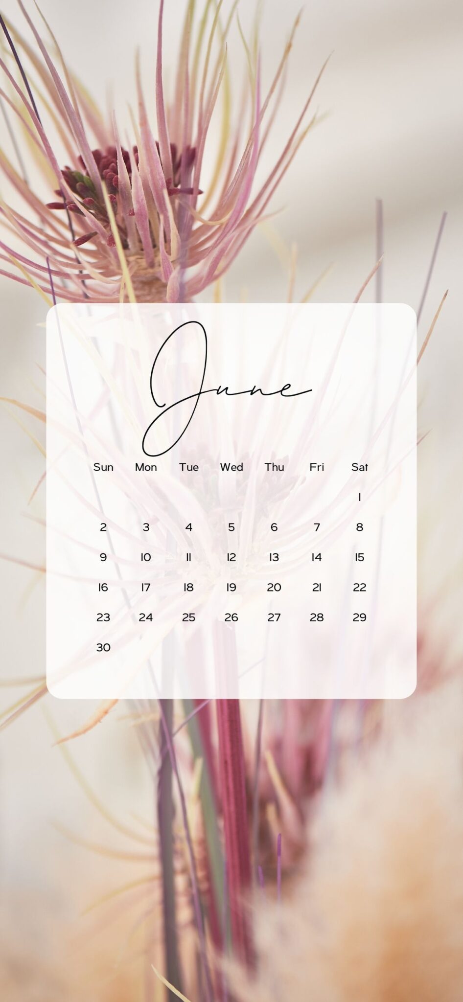 June Calendar Wallpaper (2024 Free Update) - AnjaHome