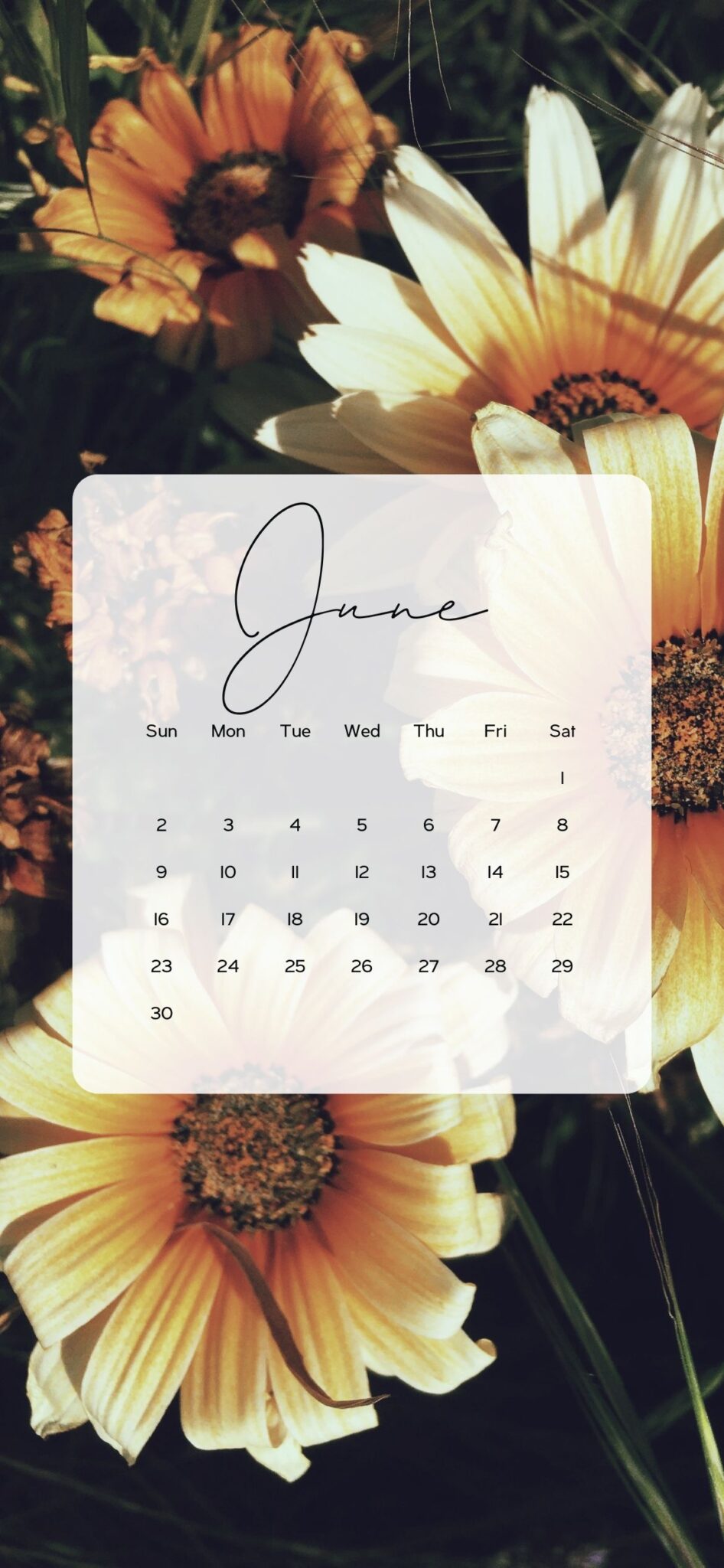 June Calendar Wallpaper (2024 Free Update) - AnjaHome