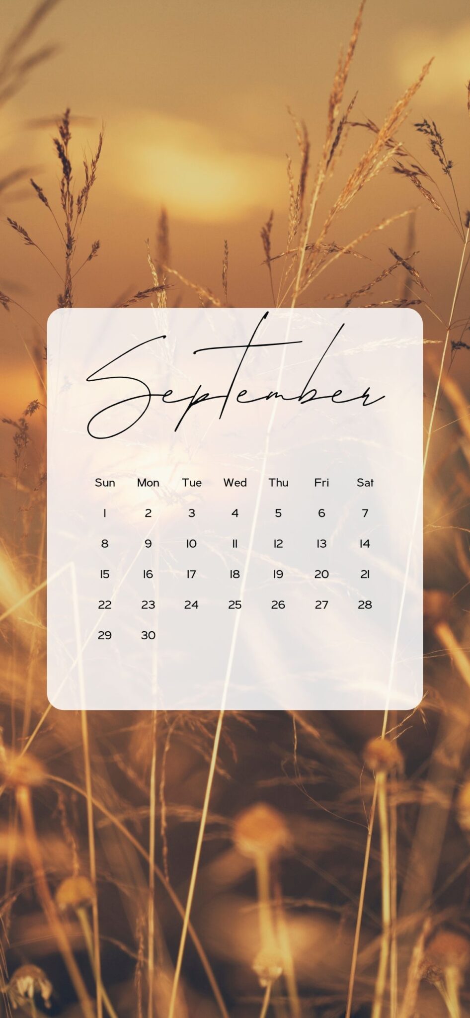 September Calendar Wallpaper Tech Backgrounds (2024) - AnjaHome
