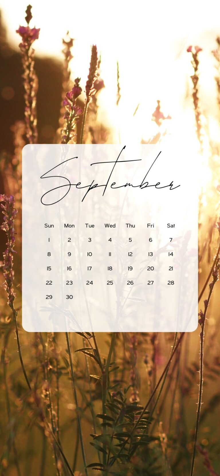 September Calendar Wallpaper Tech Backgrounds (2024) - AnjaHome
