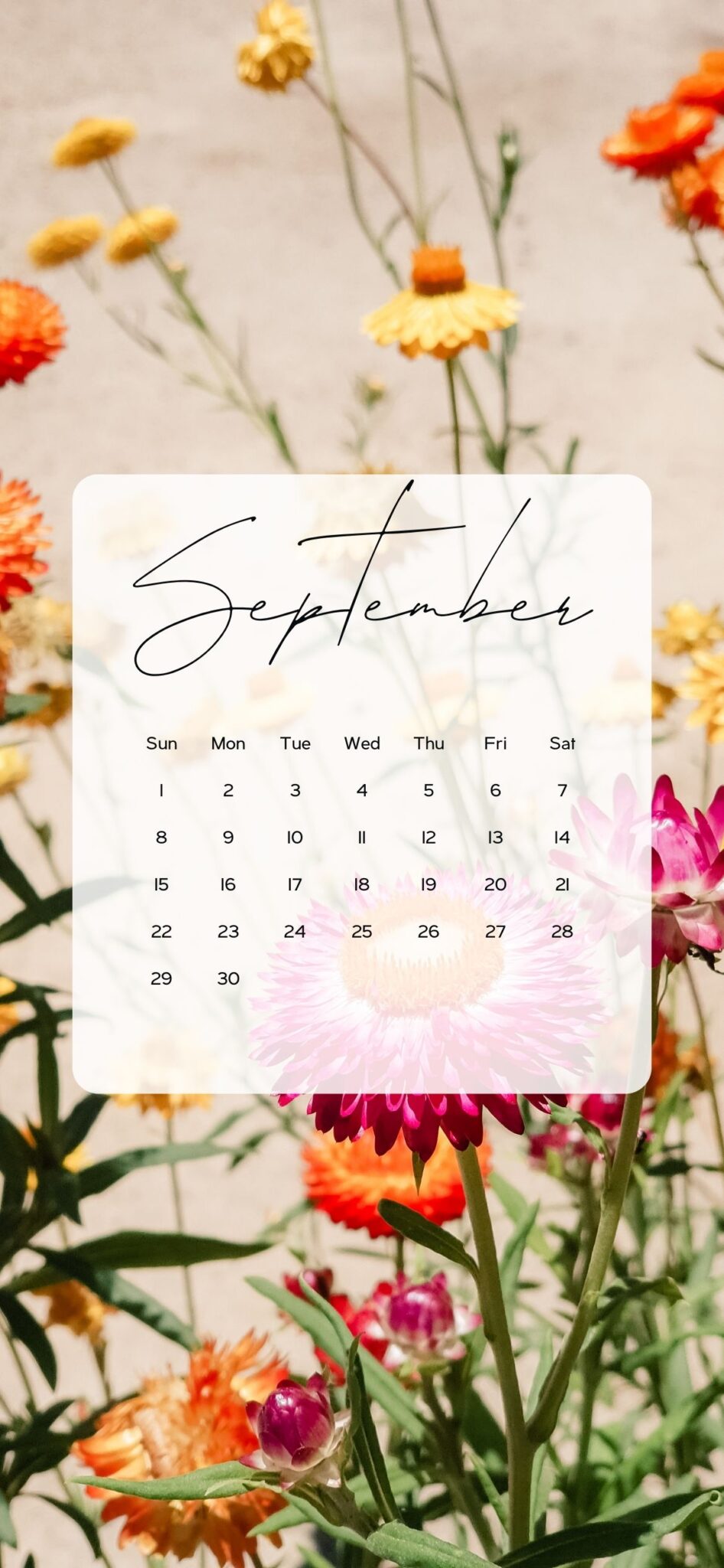 September Calendar Wallpaper Tech Backgrounds (2024) - AnjaHome