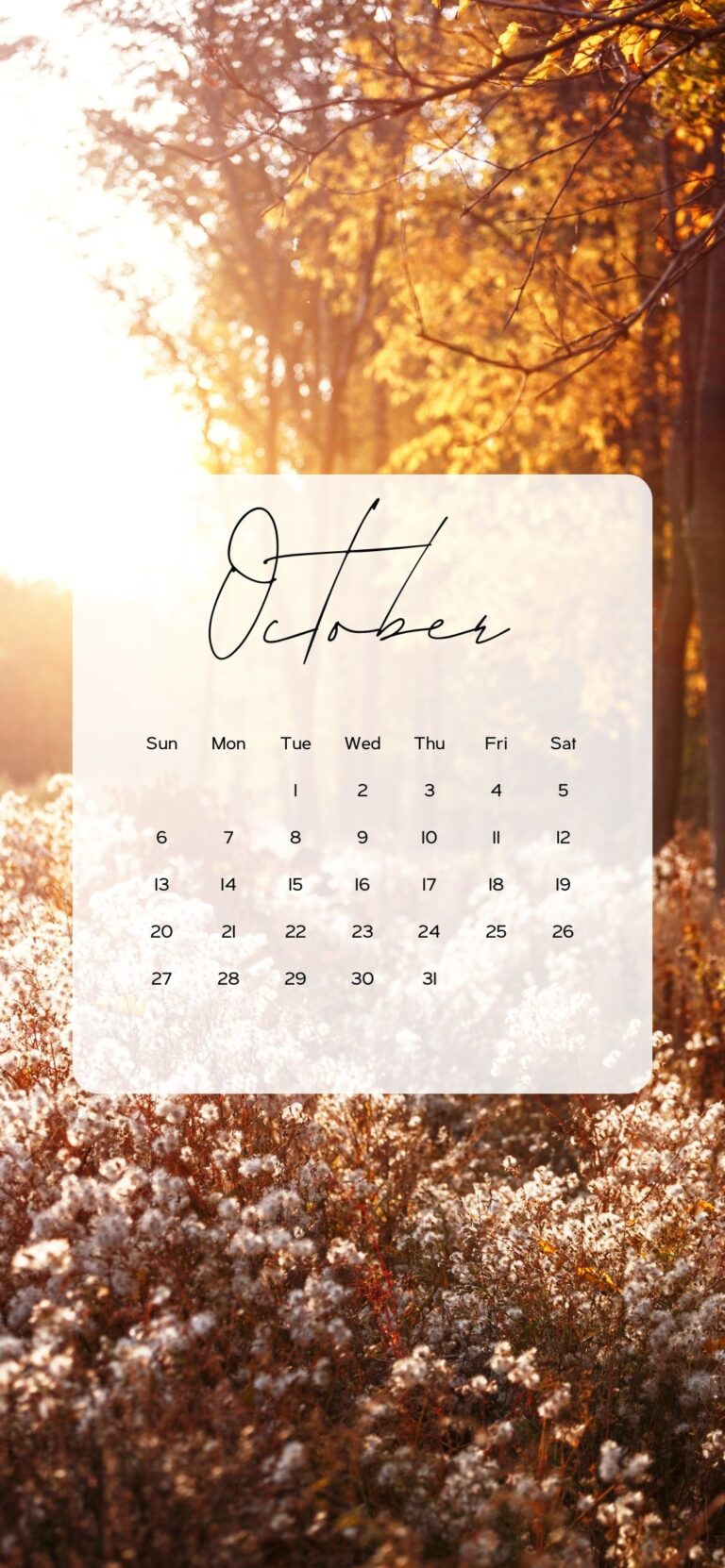 October Calendar Wallpaper Aesthetic Backgrounds (2024) - AnjaHome