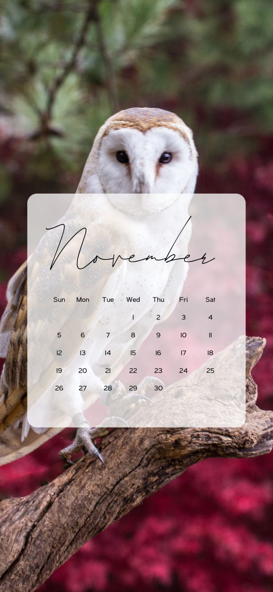 November Calendar Wallpaper Aesthetic Backgrounds - AnjaHome