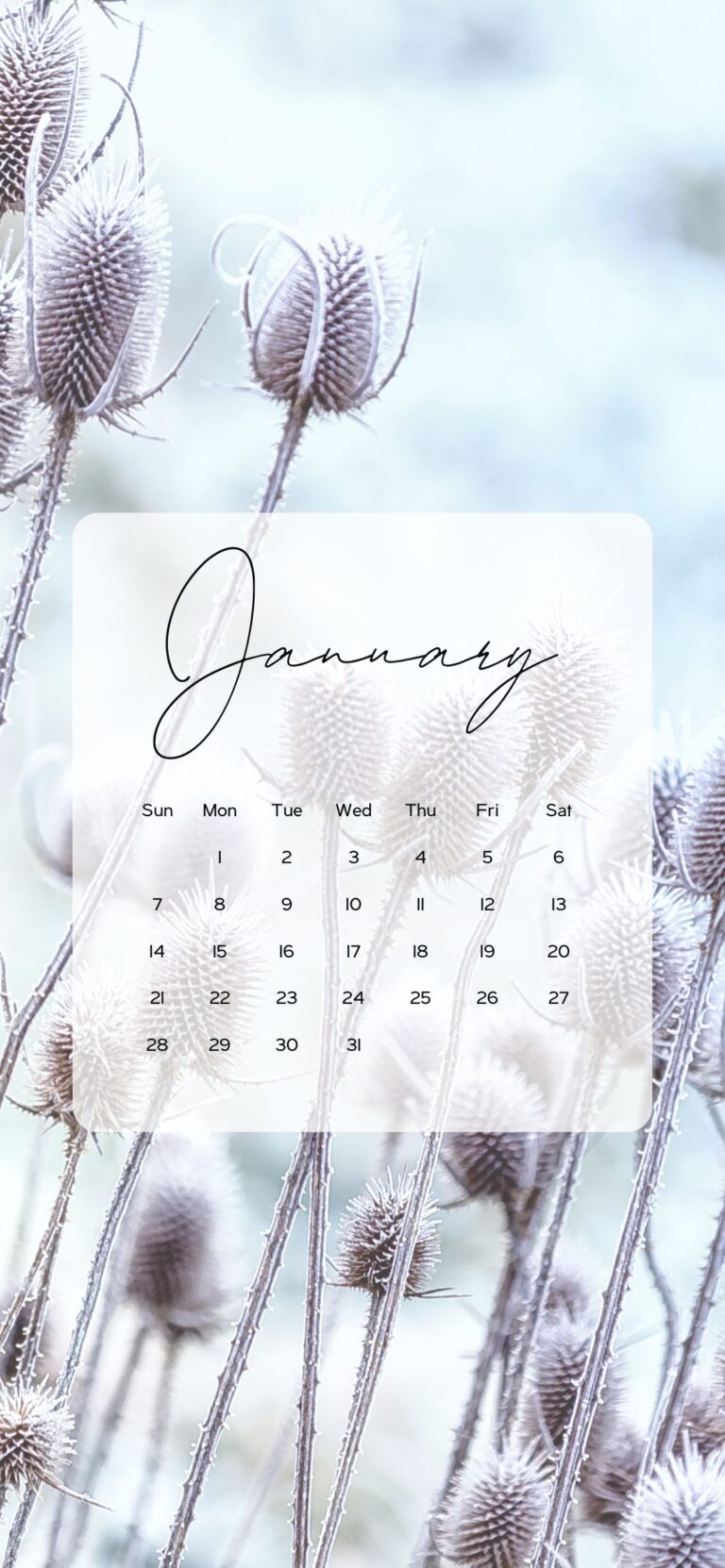 January Calendar Wallpaper Aesthetic Backgrounds - AnjaHome