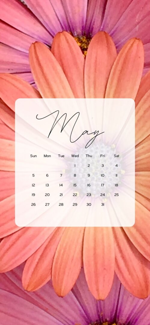 May Calendar Wallpaper Cute Backgrounds for 2024 - AnjaHome