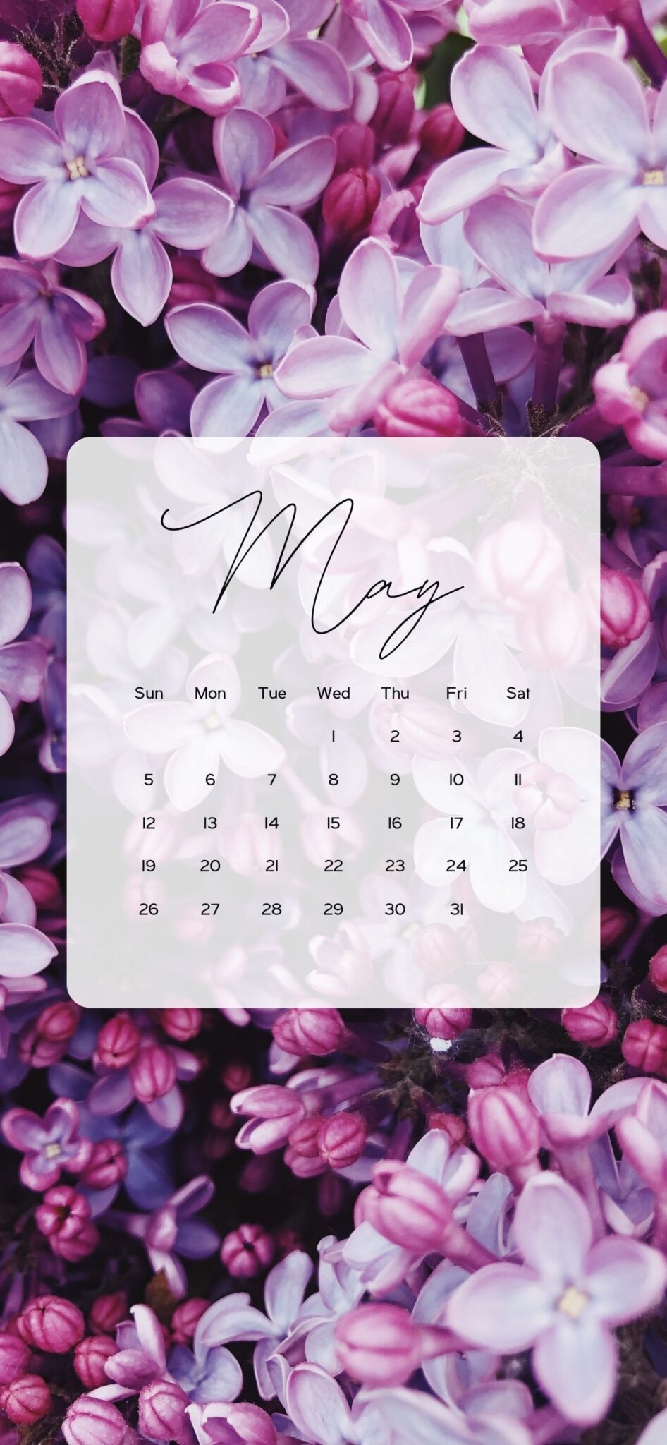 May Calendar Wallpaper Cute Backgrounds for 2024 - AnjaHome