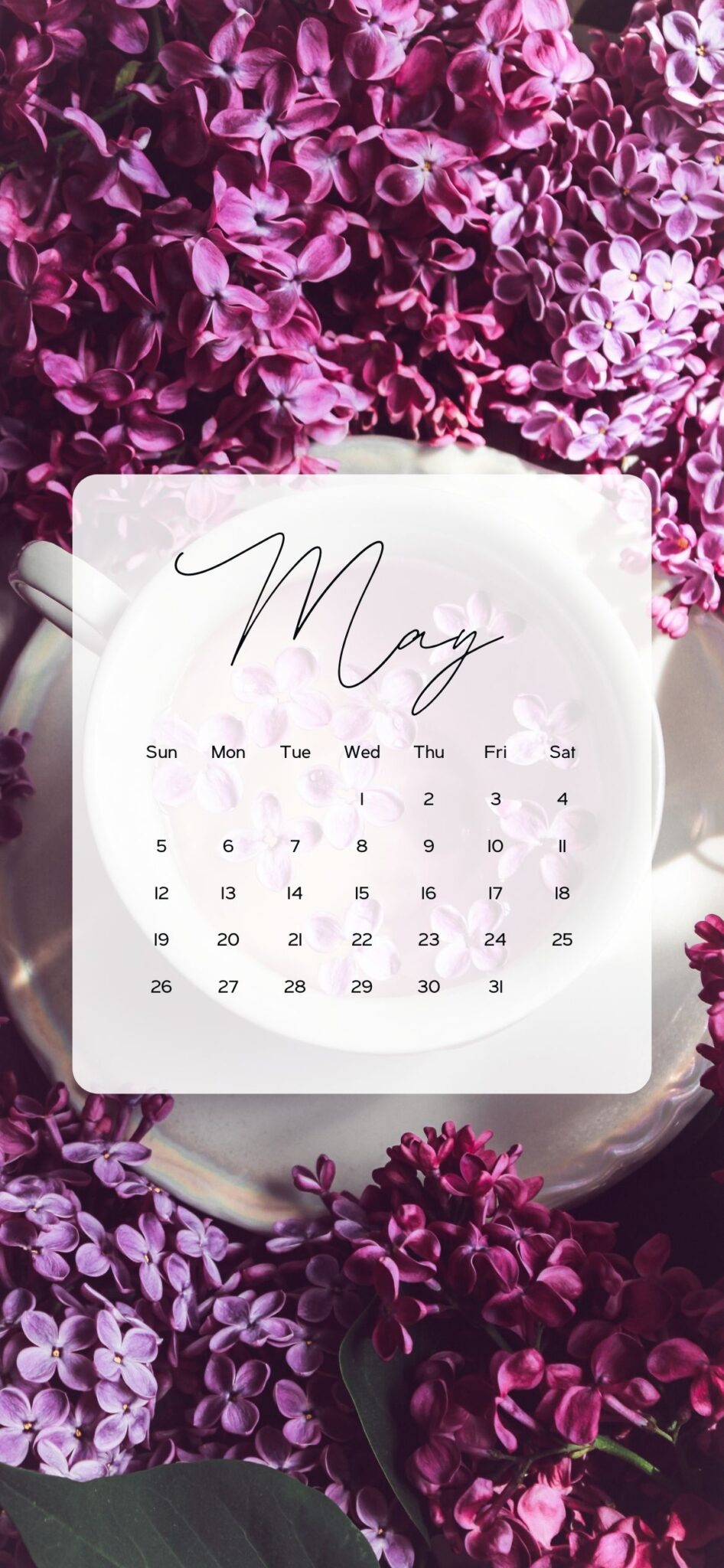 May Calendar Wallpaper Cute Backgrounds for 2024 - AnjaHome